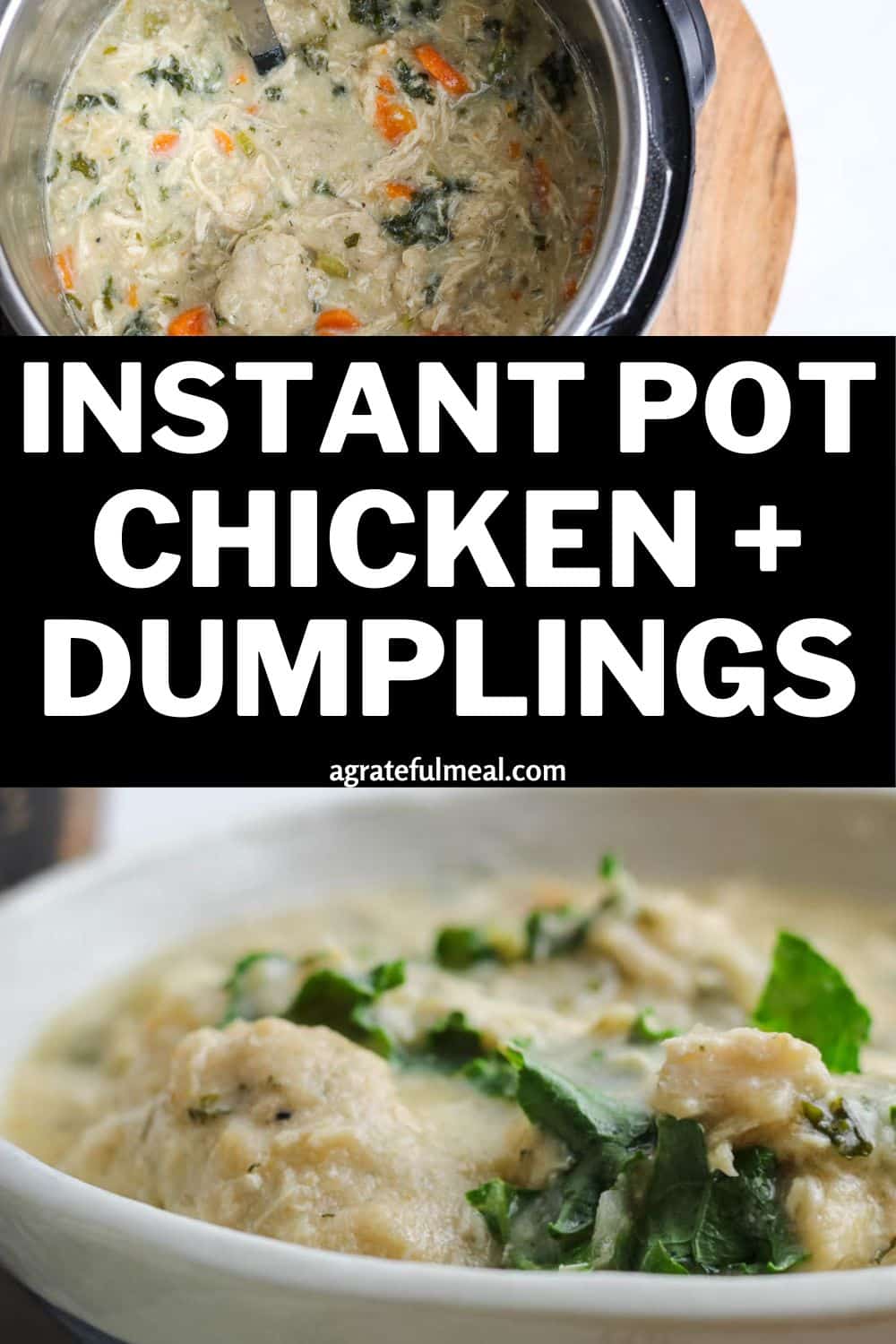 Instant Pot Chicken and Pancake Mix Dumplings with Winter Greens - A ...