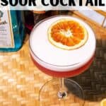 Negroni Sour - A Grateful Meal