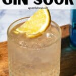 Fitzgerald Cocktail (Easy Gin Sour Variation) - A Grateful Meal