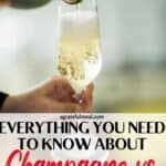 Champagne and Sparkling Wine - What's the Difference? - A Grateful Meal